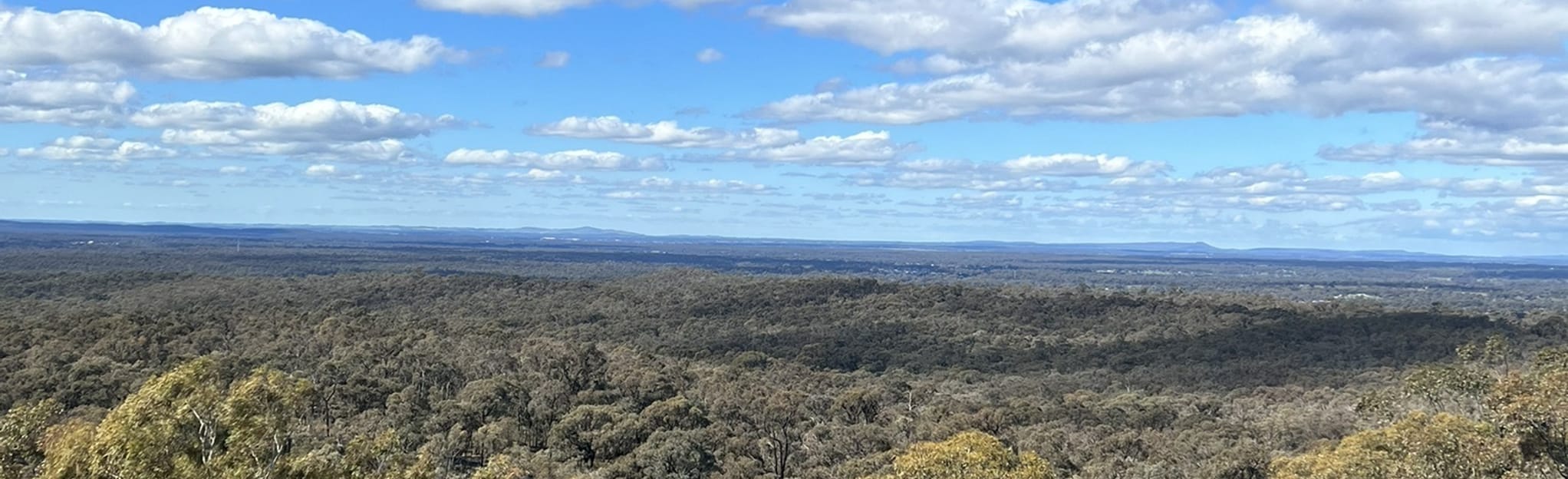 Strathdale to One Tree Hill Circuit: 55 Reviews, Map - Victoria ...