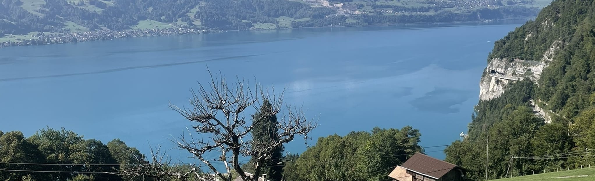 Manor Farm - Beatenberg Suspension Bridge: 63 Reviews, Map - Bern ...