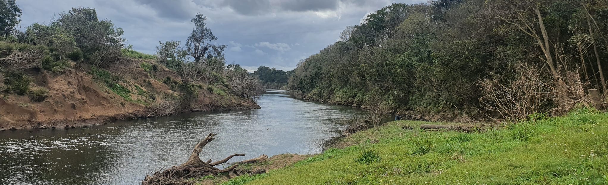 River to Rail Trail Loop via Town Centre : 28 Photos - Queensland ...