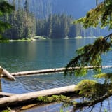 Cora Lake Trail, Washington - 232 Reviews, Map | AllTrails