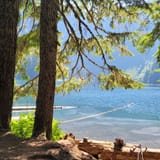 Cora Lake Trail, Washington - 232 Reviews, Map | AllTrails