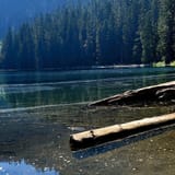 Cora Lake Trail, Washington - 232 Reviews, Map | AllTrails