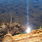 Cora Lake Trail, Washington - 232 Reviews, Map | AllTrails