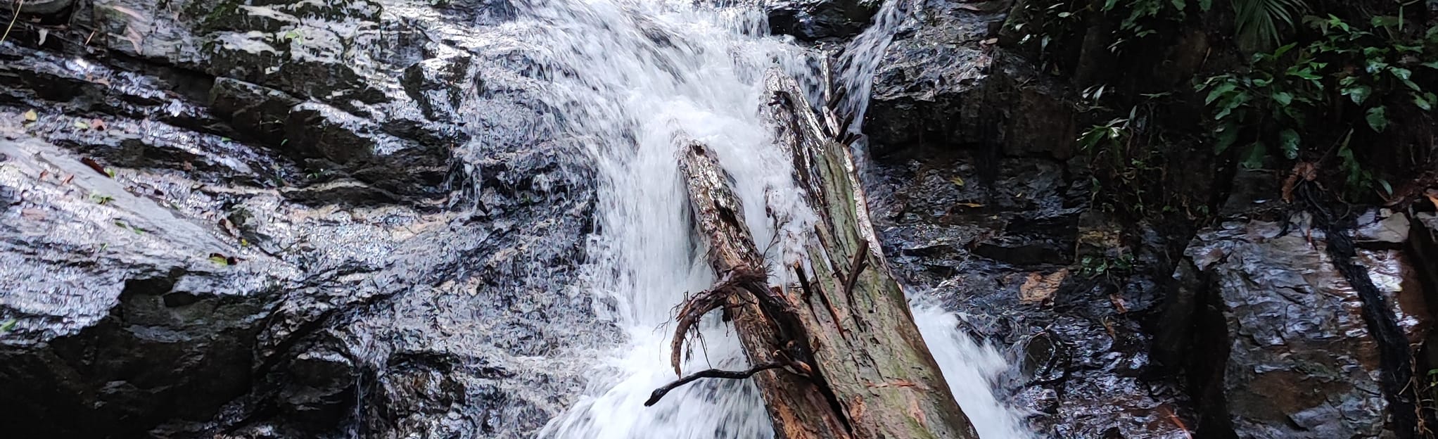 Lata Perangin, Perak, Malaysia - 27 Reviews, Map | AllTrails