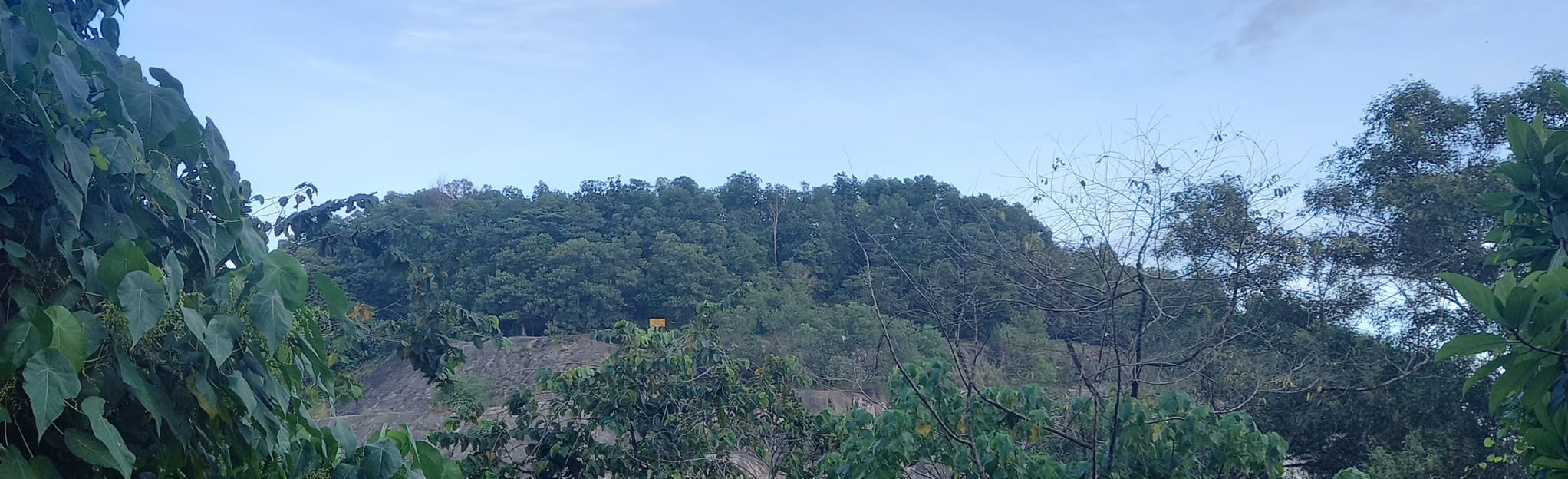 Pink Trail Loop, Selangor, Malaysia - 12 Reviews, Map | AllTrails