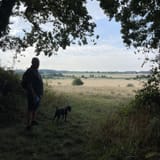 Bacton Woods Circular, Norfolk, England - 96 Reviews, Map | AllTrails