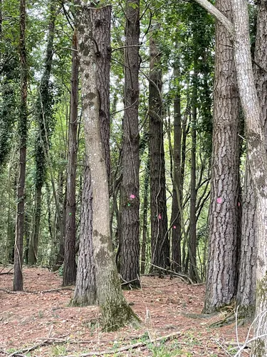 10 Best River Trails in Lasarte-Oria | AllTrails