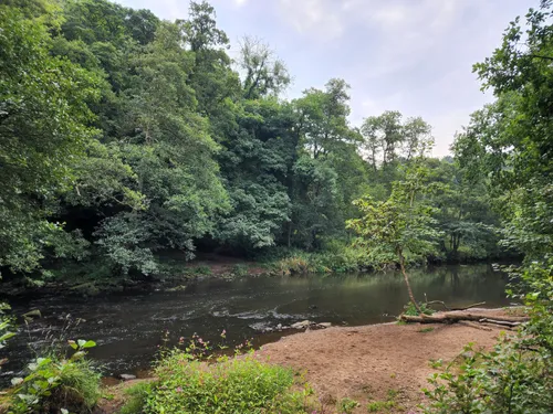 10 Best Trails, Walks, and Paths in Harrogate | AllTrails