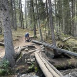 Mount Logan, Colorado - 32 Reviews, Map | AllTrails