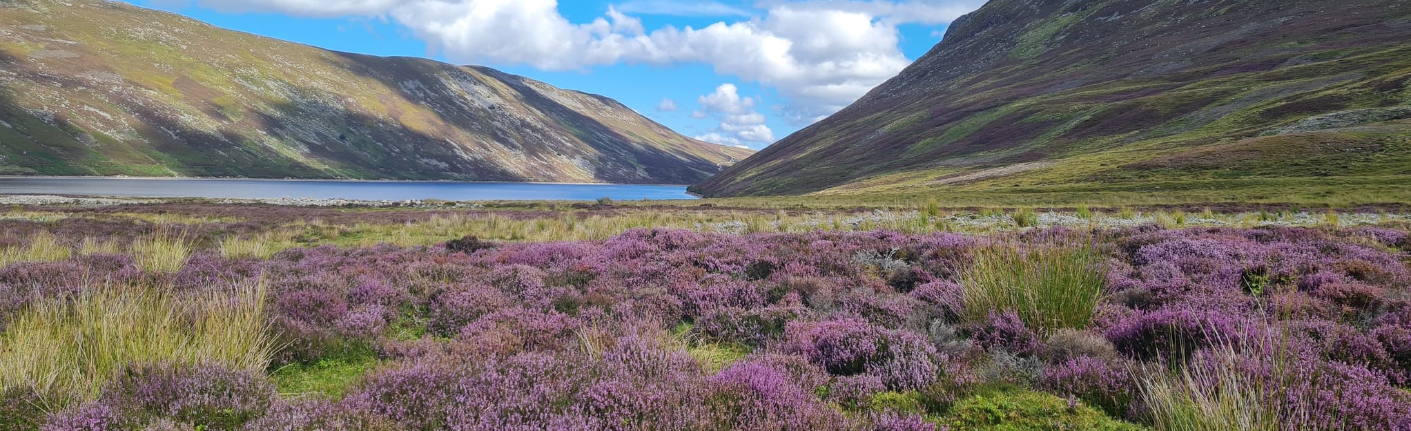 Meall Chuaich, Highlands, Scotland - 106 Reviews, Map | AllTrails