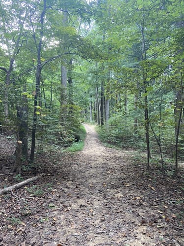 2023 Best Views Trails in Mint Spring Valley Park | AllTrails
