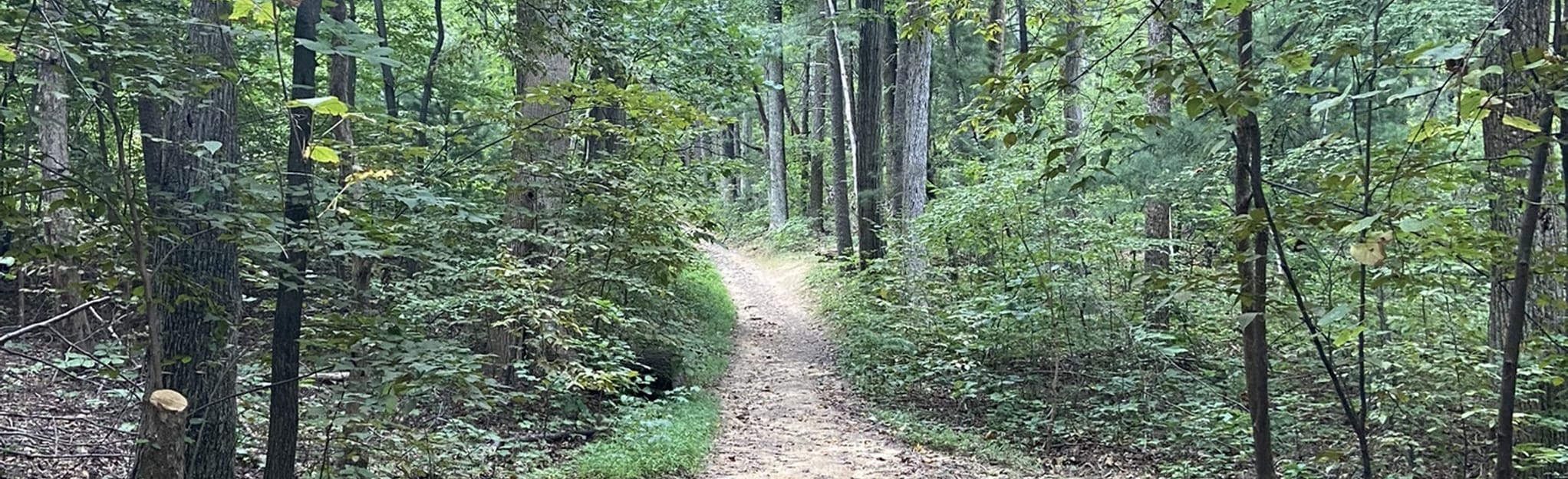Fire Trail Loop | Map, Guide - Virginia | AllTrails