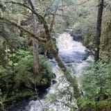 Lunch Falls Trail, Alaska - 87 Reviews, Map | AllTrails