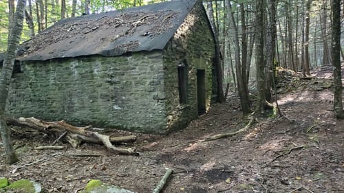 Best Hikes and Trails in Bear Swamp Preserve | AllTrails