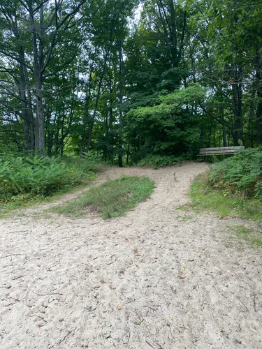 10 Best Trails and Hikes in Tiny | AllTrails