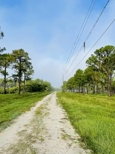 Best Hikes and Trails in Duette Preserve | AllTrails