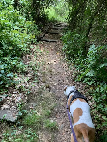 Best Hikes and Trails in Jericho Hill Recreation Area | AllTrails