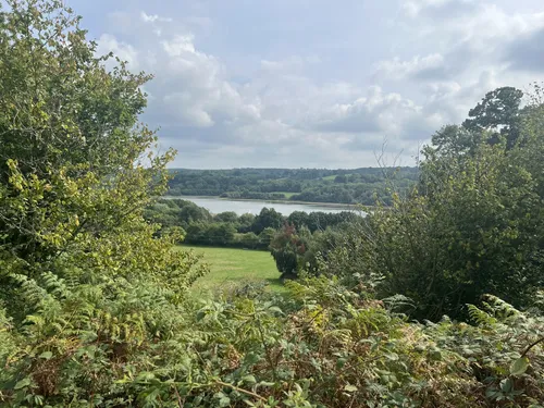 10 Best Mountain Biking Trails in High Weald National Landscape (AONB ...