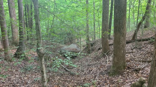 Best 10 Hikes and Trails in Latta Nature Preserve | AllTrails