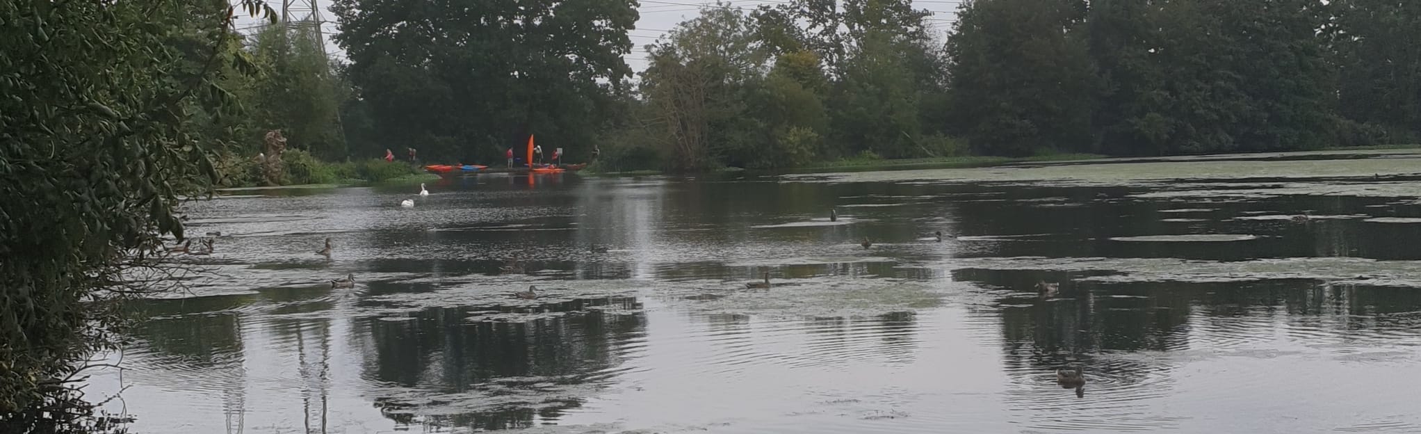 Coxes Mill Pond and River Wey Circular: 13 Reviews, Map - Surrey ...