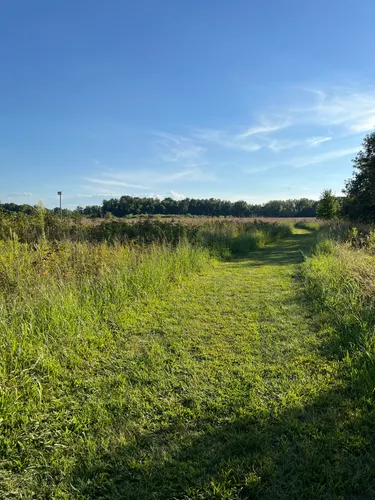 Best Hikes and Trails in Litzenberg Memorial Woods | AllTrails