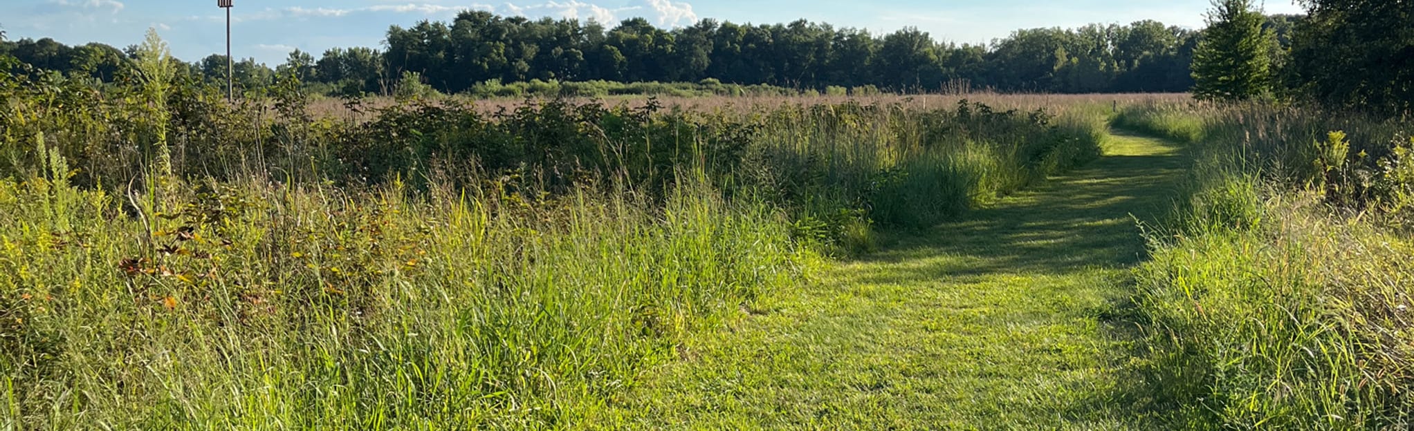 Wetlands Trail via Heritage Trail, Ohio - 7 Reviews, Map | AllTrails
