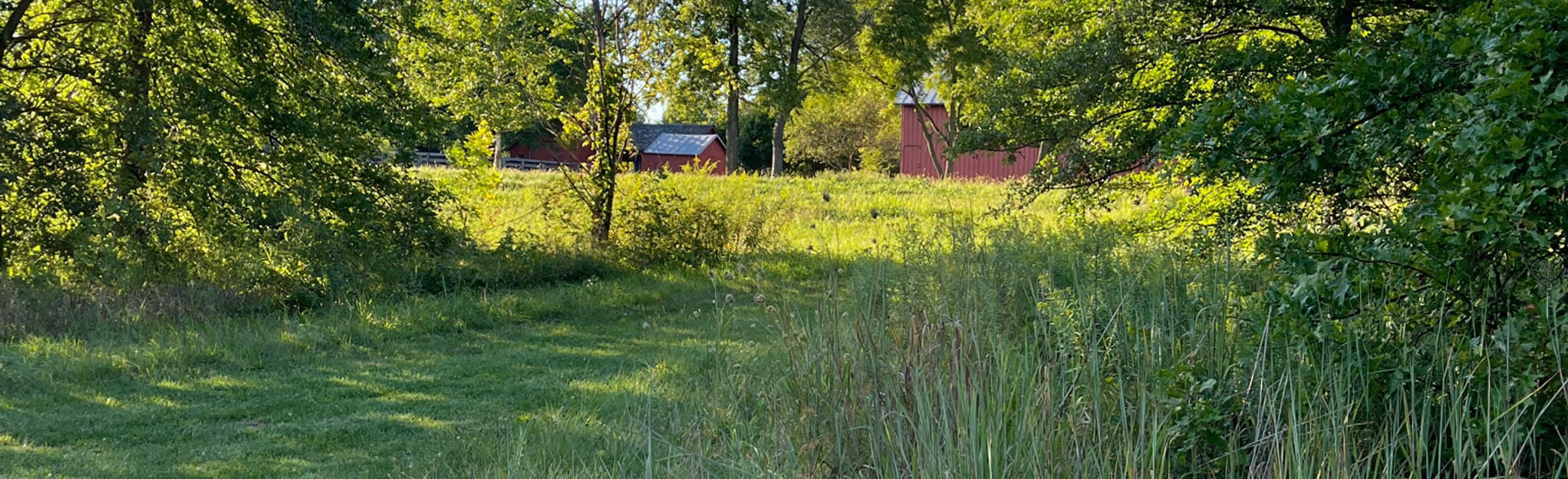 Southland Trail: 22 fotos - Ohio | AllTrails