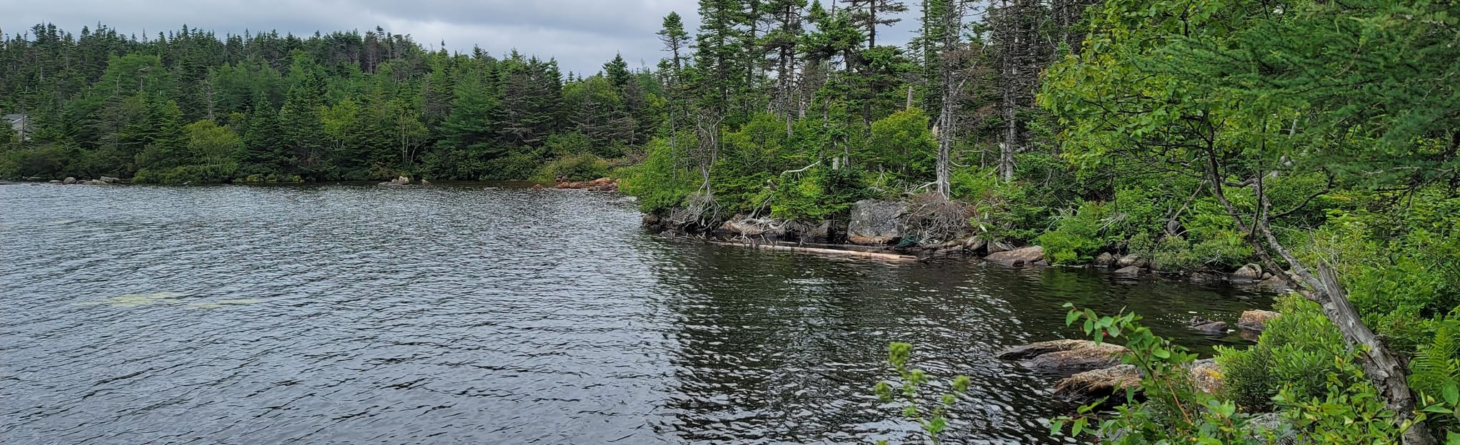 Octagon Pond Loop: 285 Reviews, Map - Newfoundland and Labrador, Canada ...