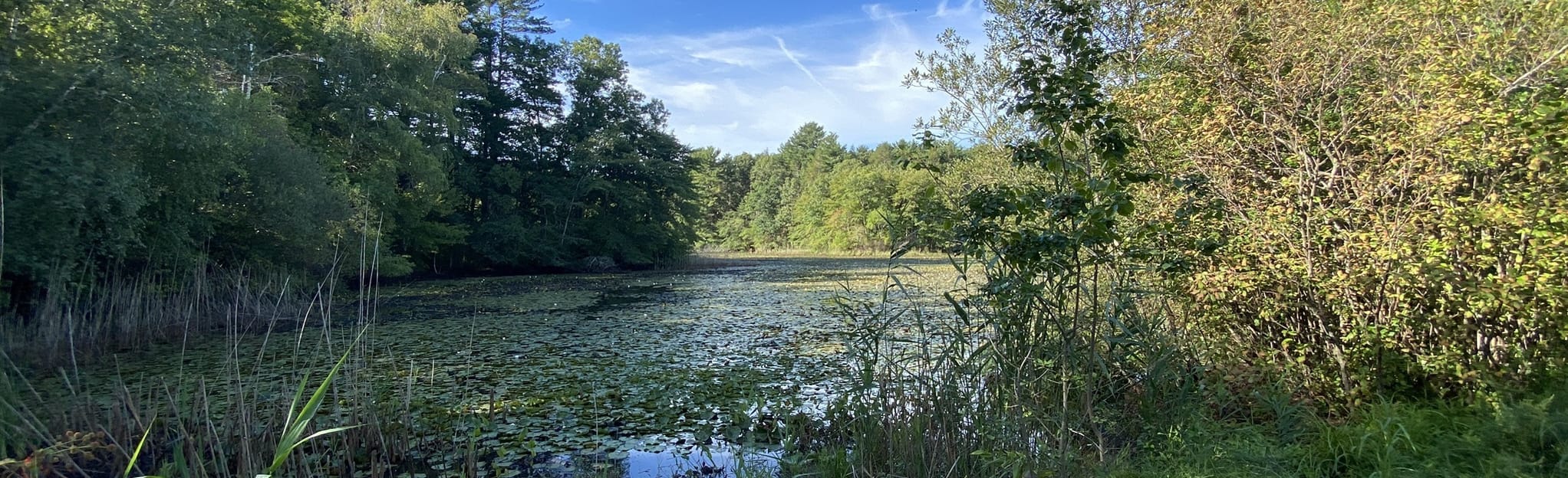 Skyline, Pipeline, Indian Camp, and Crags Foot Path, Massachusetts ...