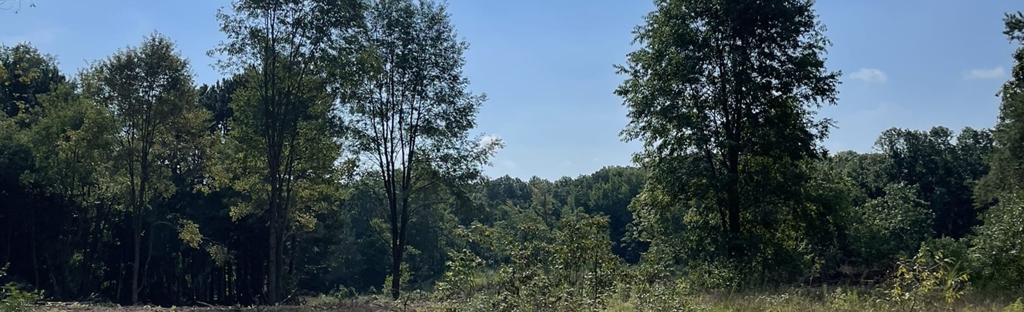 Egypt Valley Trail and Austin Lake Loop - Michigan | AllTrails