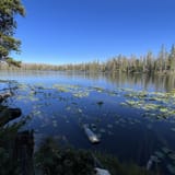Grandaddy Basin Loop, Utah - 94 Reviews, Map | AllTrails