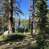 Grandaddy Basin Loop, Utah - 94 Reviews, Map | AllTrails