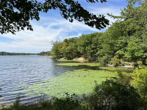 Best Hikes and Trails in Lake Taghkanic State Park | AllTrails