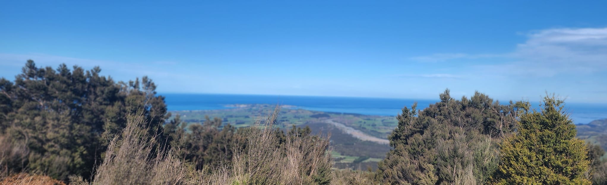 Mount Fyffe Summit via Mount Fyffe Hut: 155 Reviews, Map - Canterbury ...