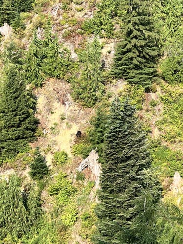 Best Hikes and Trails in Hemlock Valley | AllTrails