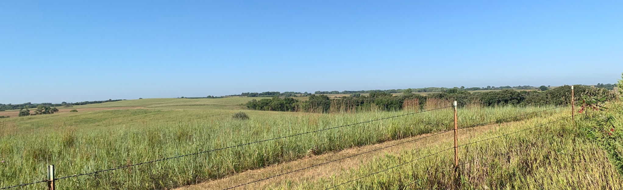 AllTrails | Timber Point Lake: 14 Reviews, Map - Nebraska