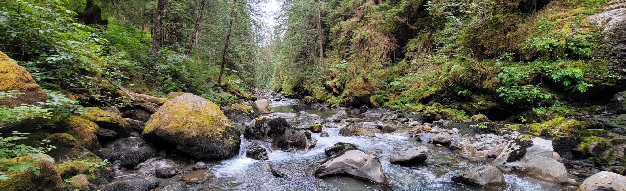 Boulder River Trail, Washington - 1,672 Reviews, Map | AllTrails