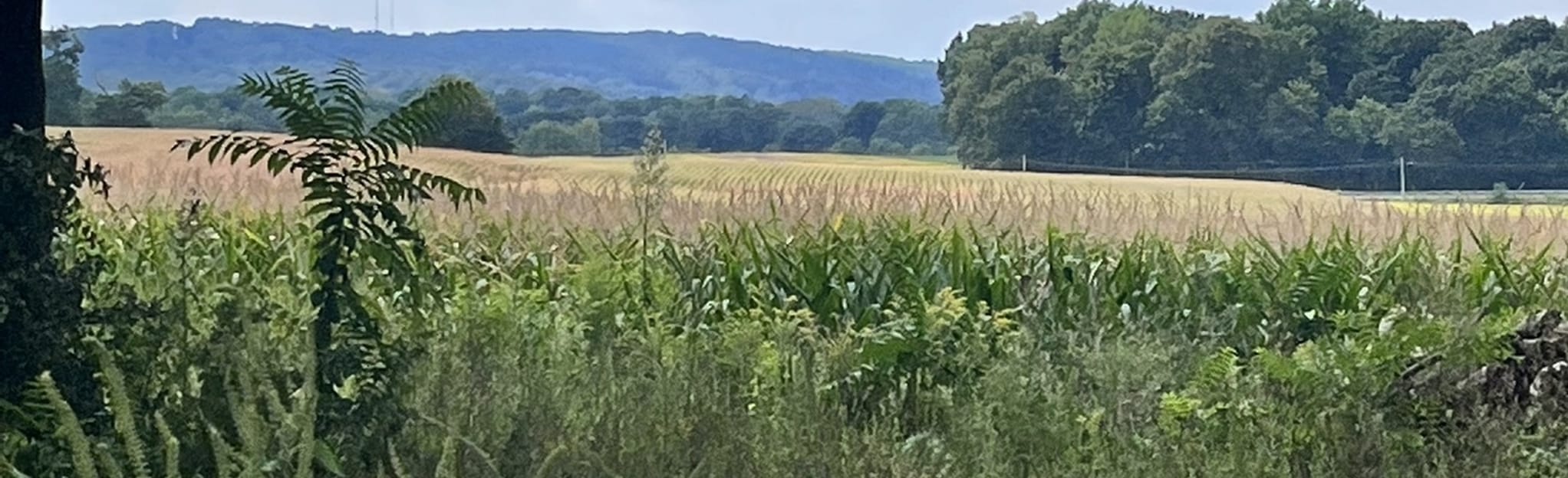 Lebanon Valley Rail Trail, Pennsylvania - 428 Reviews, Map | AllTrails