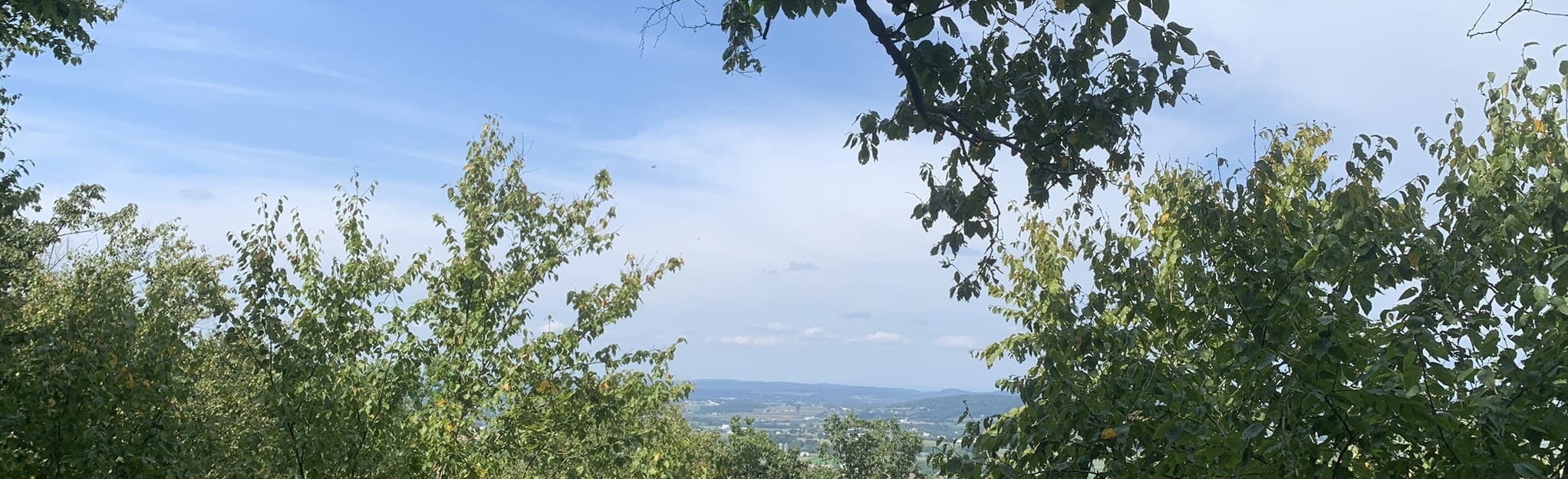 Money Rocks Overlook, Pennsylvania - 137 Reviews, Map | AllTrails