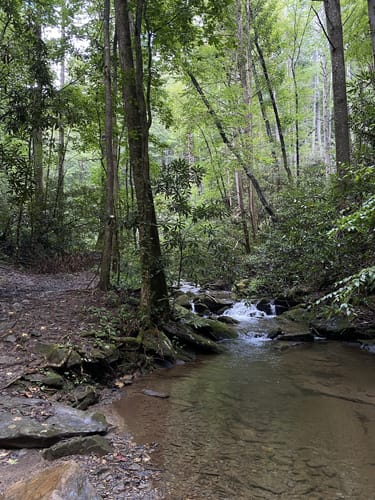 2023 Best 10 River Trails in Ellijay | AllTrails