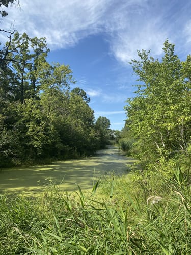 Best Hikes and Trails in Stephenfield Provincial Park | AllTrails