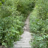 Tarrywile Park Trail, Connecticut - 619 Reviews, Map | AllTrails