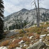 Box Lake Trail, Idaho - 253 Reviews, Map | AllTrails