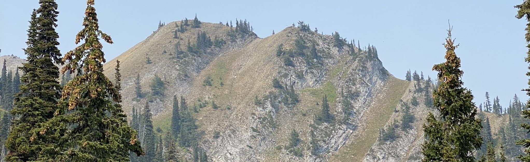 Polar Peak via Summer Road: 37 Reviews, Map - British Columbia, Canada ...