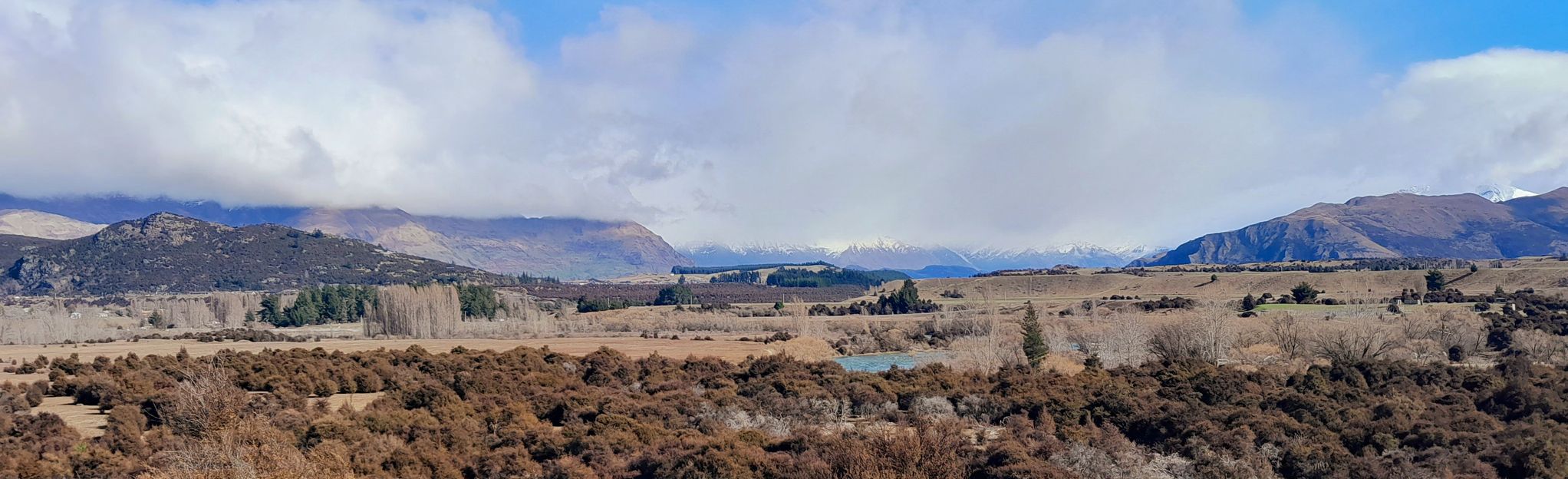 Butterfield Wetland Track, Otago, New Zealand - 24 Reviews, Map | AllTrails