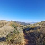 Big Mountain via Great Western Trail, Utah - 288 Reviews, Map | AllTrails