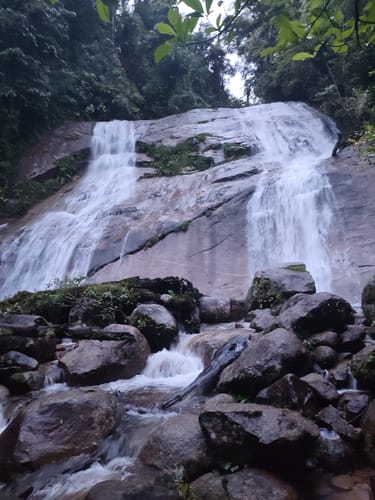 Best Hikes and Trails in Gunung Inas Forest Reserve | AllTrails