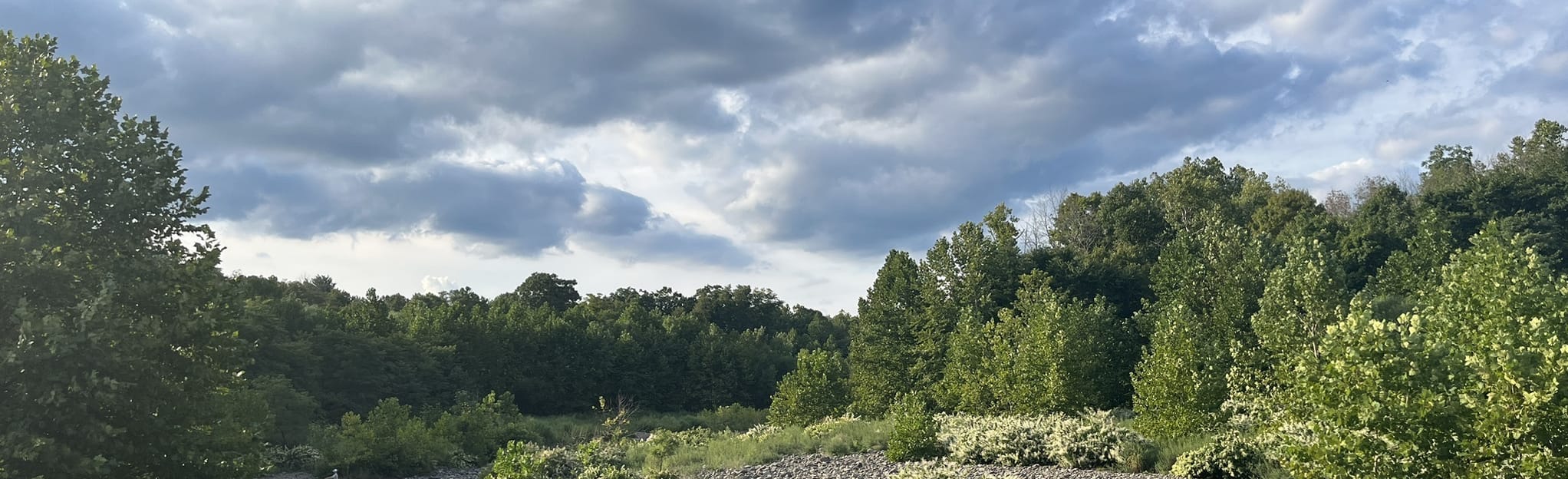 Levee Loop, Pennsylvania - 199 Reviews, Map | AllTrails