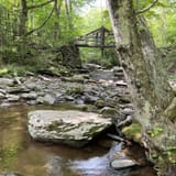 Plattekill Mountain Summit, New York - 47 Reviews, Map | AllTrails