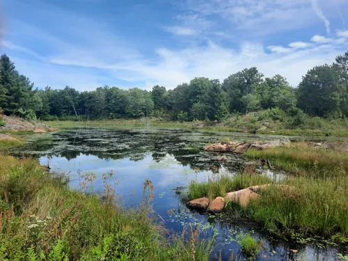 Best Hikes and Trails in Murphy's Point Provincial Park | AllTrails